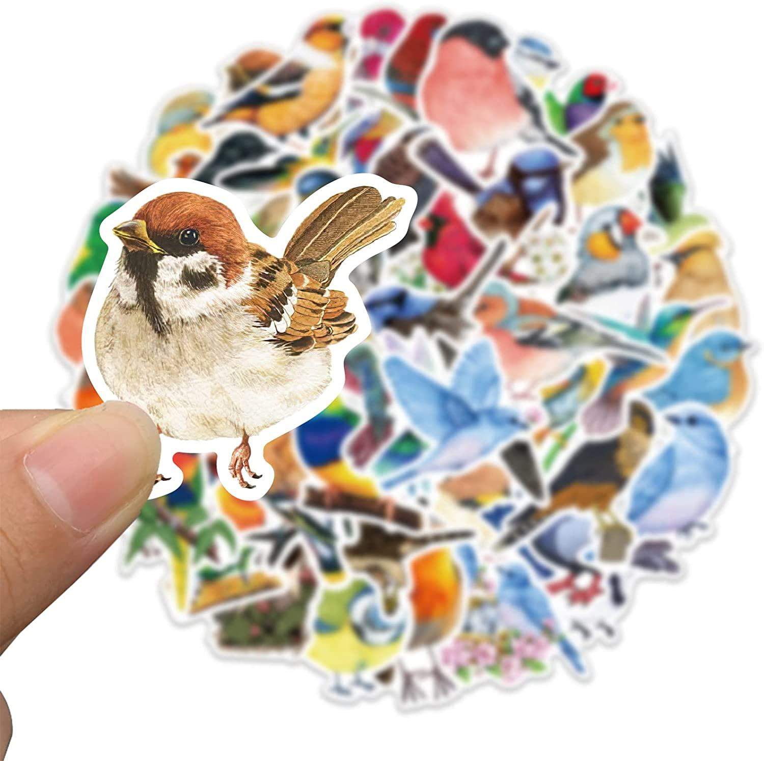 Klistremerker med fugler - 50 stk | eStore