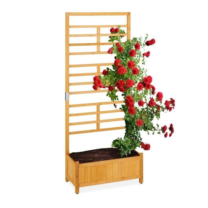 Voksekasse med espalier | eStore