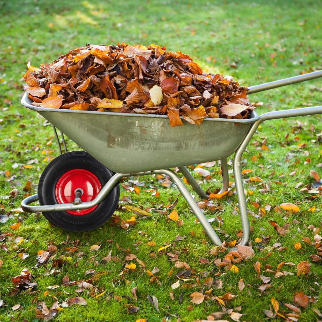 pPunkteringssikkert trillebårhjul forbedrer holdbarheten og brukerv...